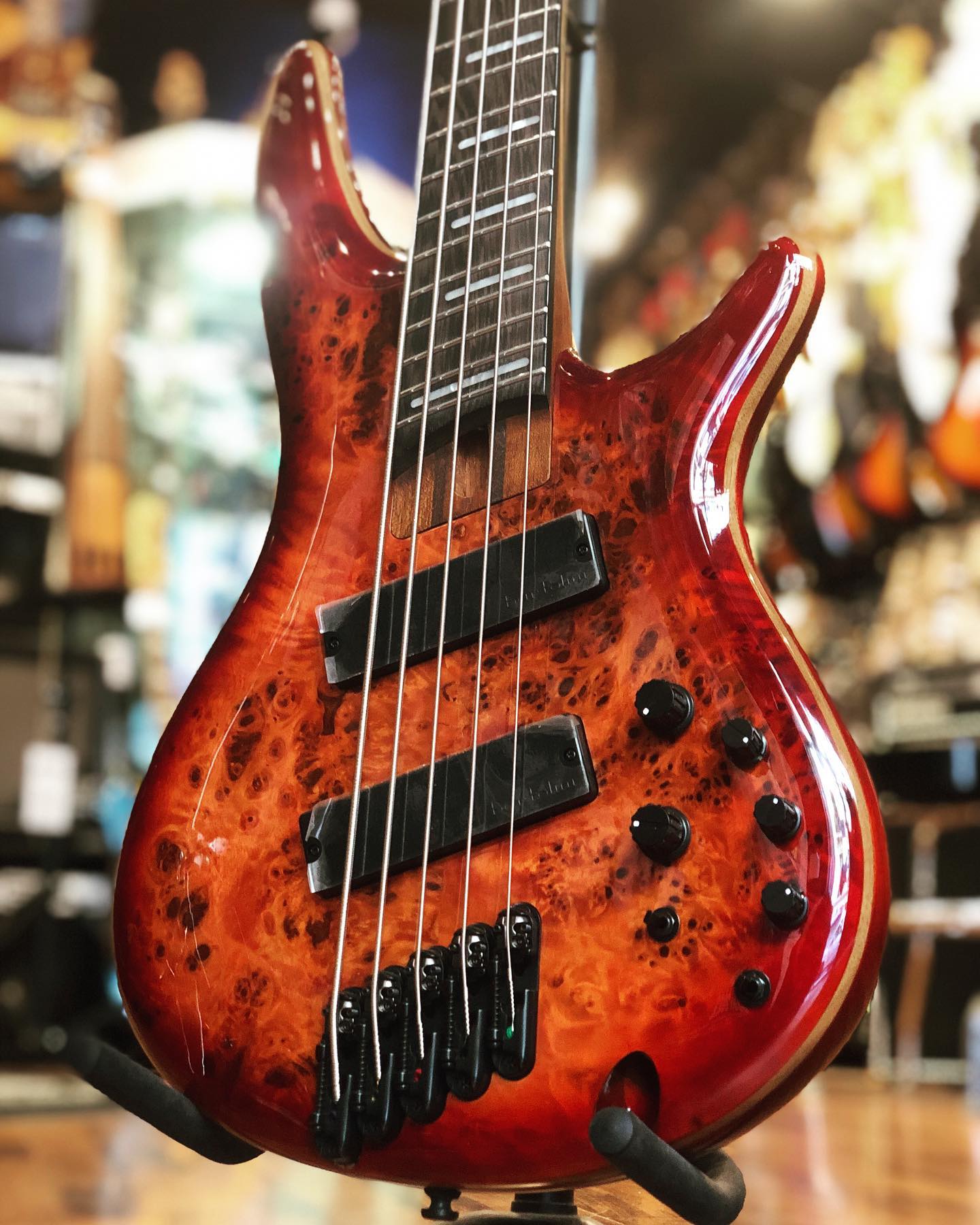 Ibanez – Soundgear SRMS805 Brown Topaz Burst. Multiscale, Bartolini 🦁 ...
